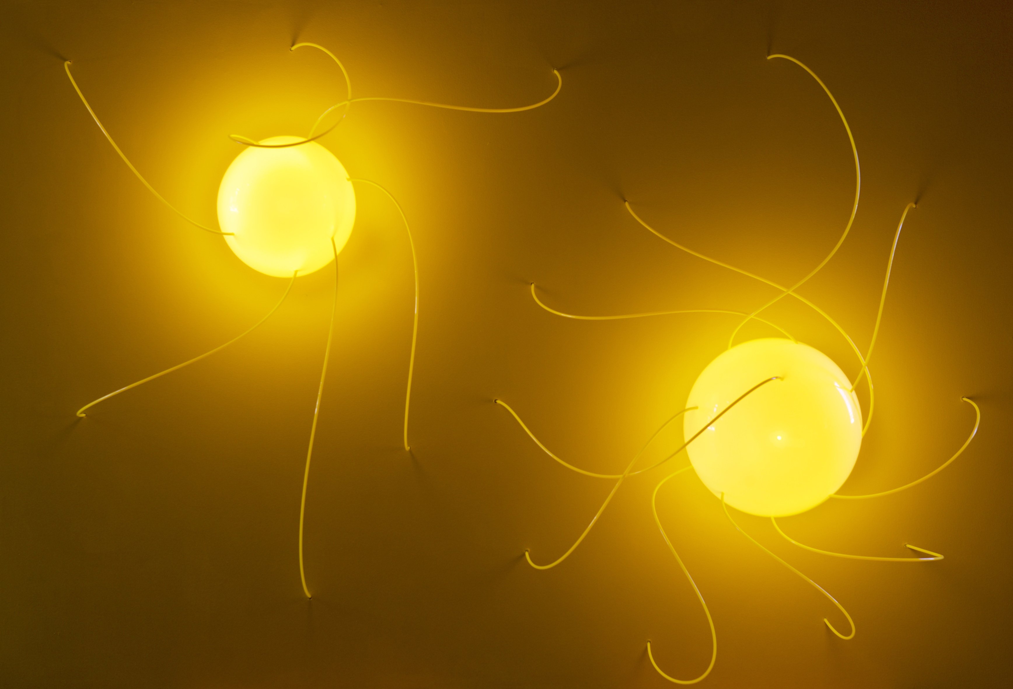 Mostra Maria Savino. Percorsi luminosi - Roma - Cose di Casa