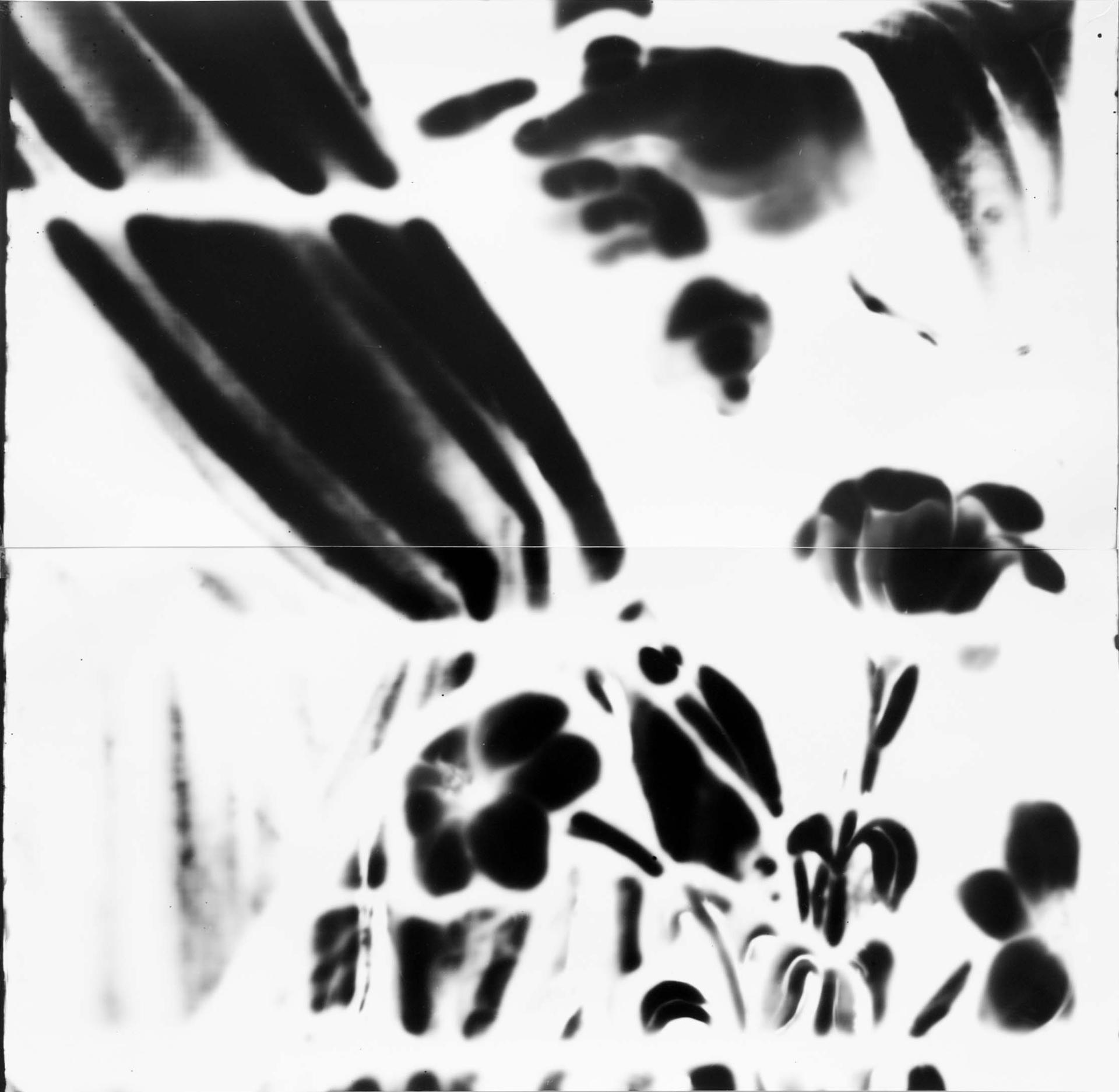 Mostra Giorgio Andreotta Calò. ELLISSI - Bologna - Cose di Casa