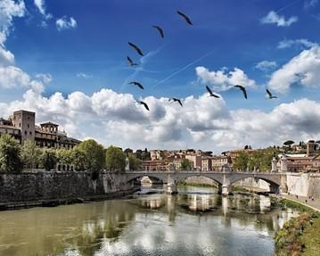 Mostra Biodiversità a Roma - Roma - Cose di Casa