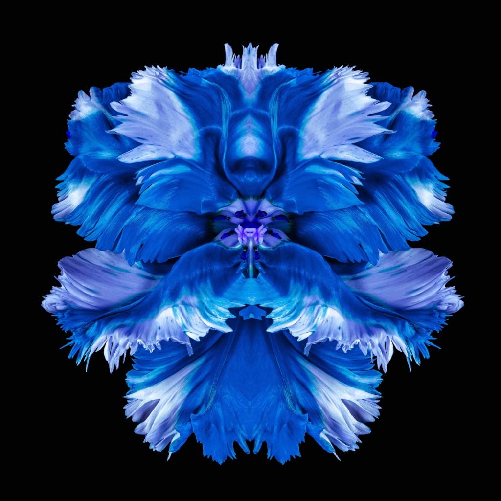 Mostra Beyond Nature – Jeff Robb - Milano - Cose di Casa