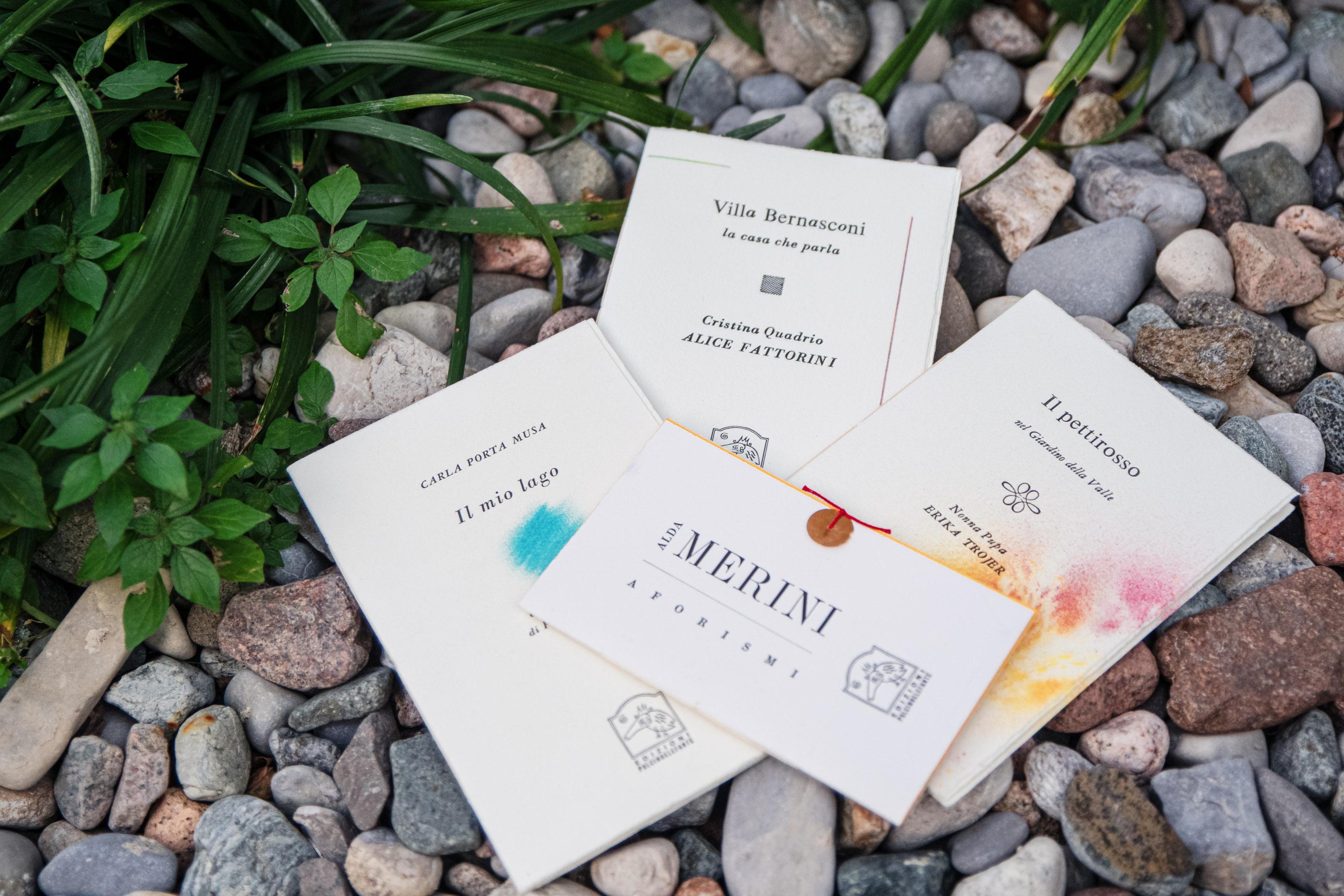 Mostra Pulcini a Villa Bernasconi. Librini in mostra - Cernobbio - Cose ...