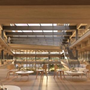 Come sarà l’ufficio del futuro? Biofilico, sostenibile e flessibile - Cose di Casa