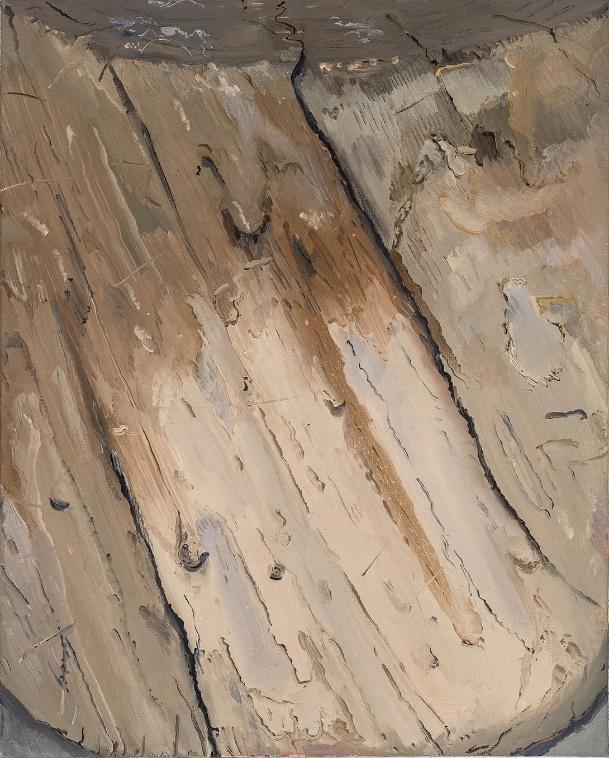 Mostra Michele Tocca. Repoussoir - Torino - Cose di Casa