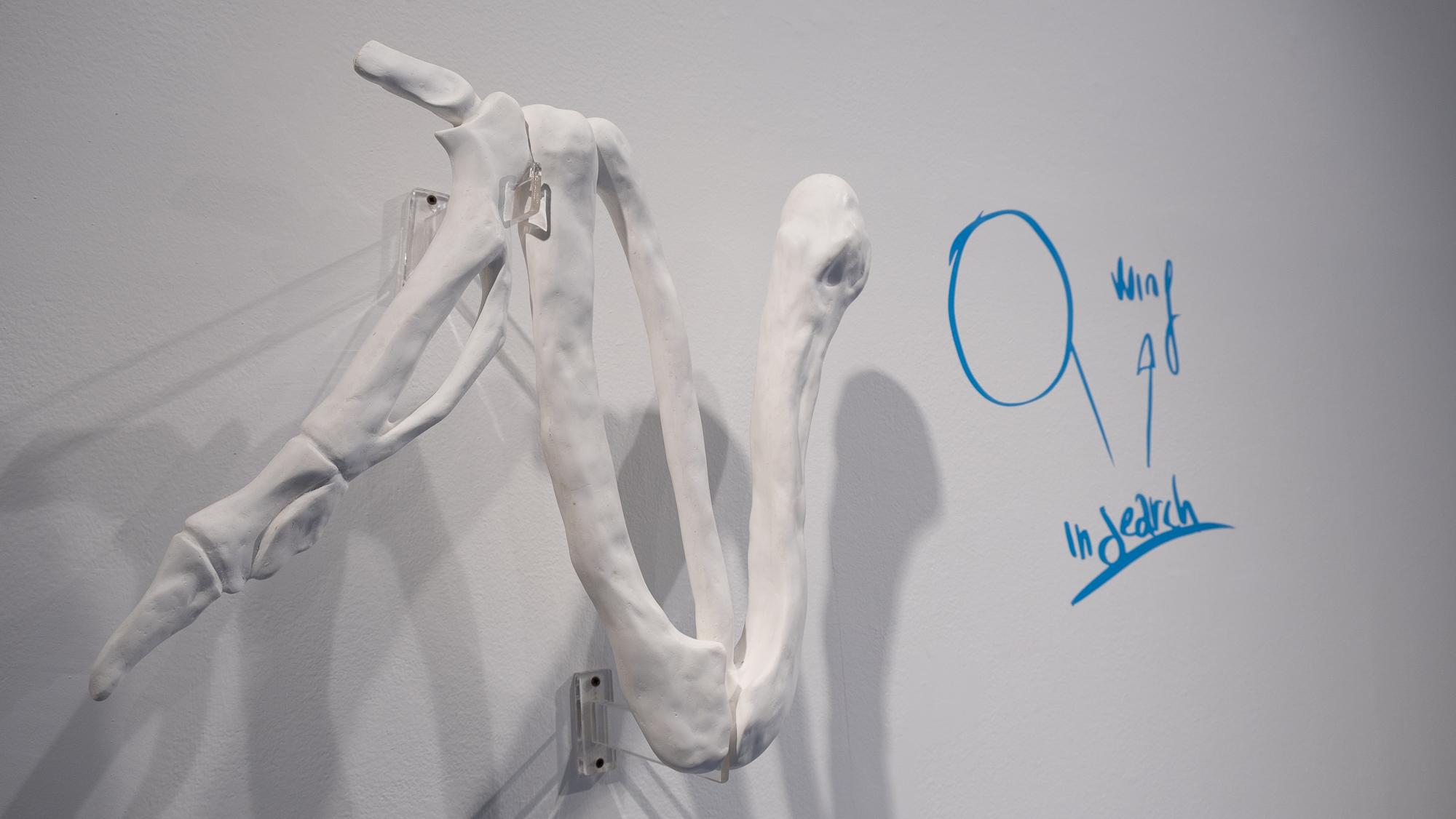 Mostra Angelo Gallo. T(w)O EDGE due bordi _ al limite - Cosenza - Cose ...