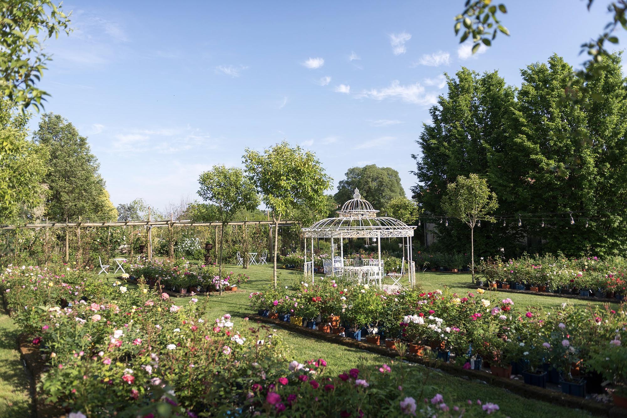 Mostra Castello Quistini, il paradiso delle rose in Franciacorta ...