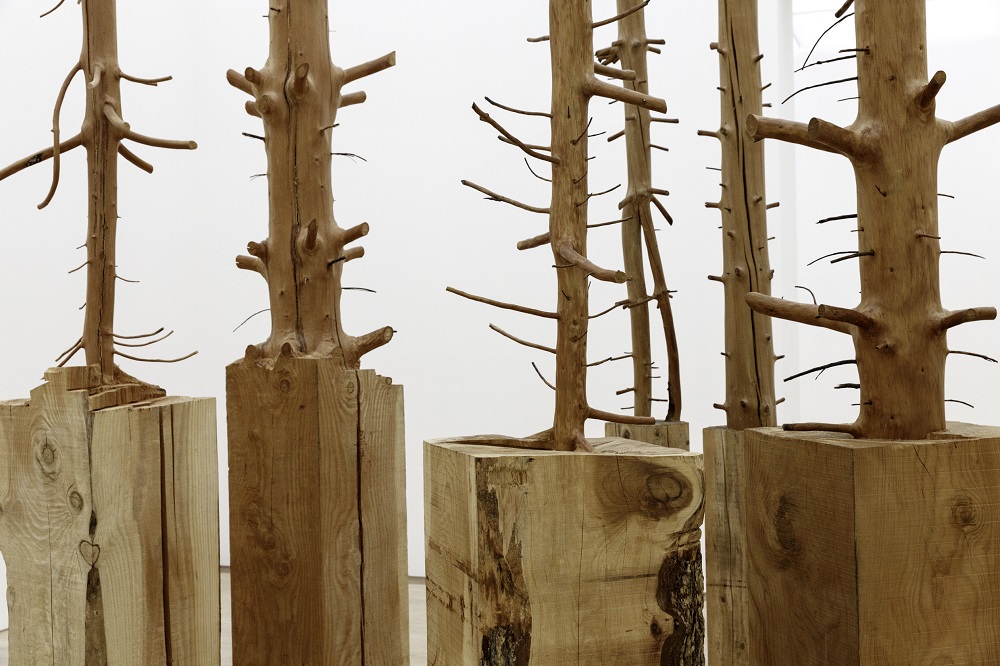 Mostra Giuseppe Penone. Impronte di luce - Alba - Cose di Casa