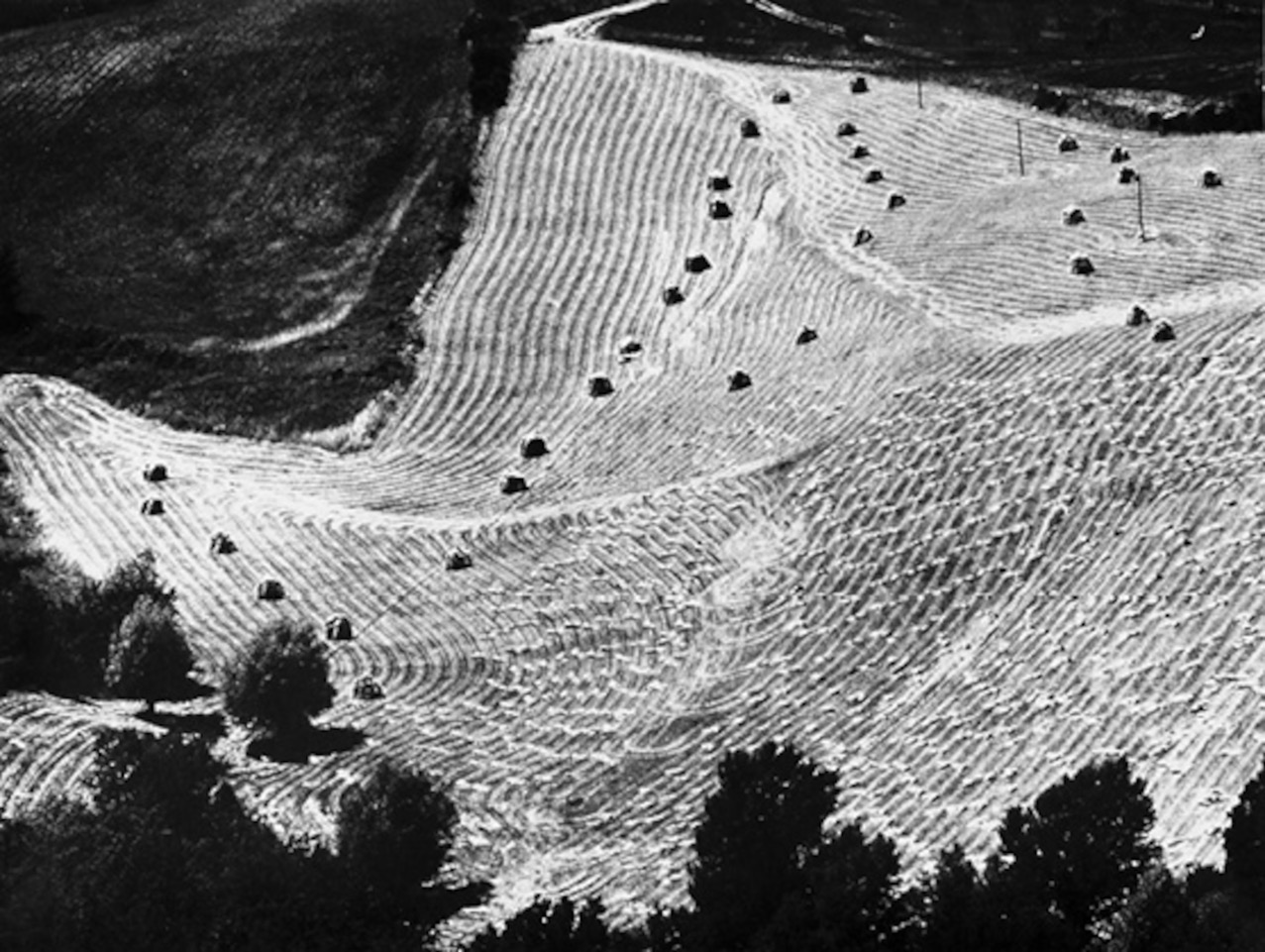 Mostra Passaggi. Mario Giacomelli Simone Massi - Fabriano - Cose di Casa